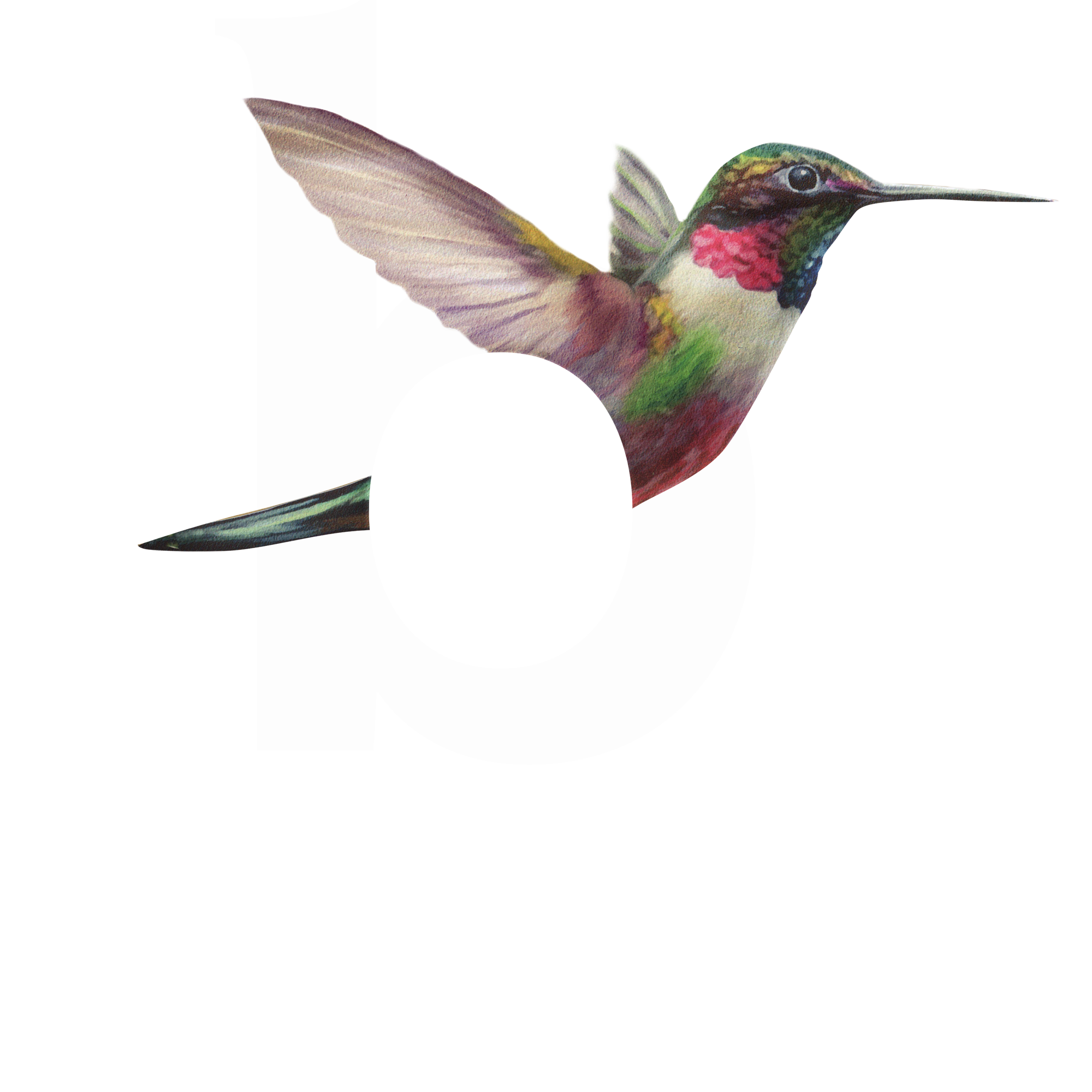 Cheech Marin: Legendary Toker, Pop Culture Pioneer, and Latino ...