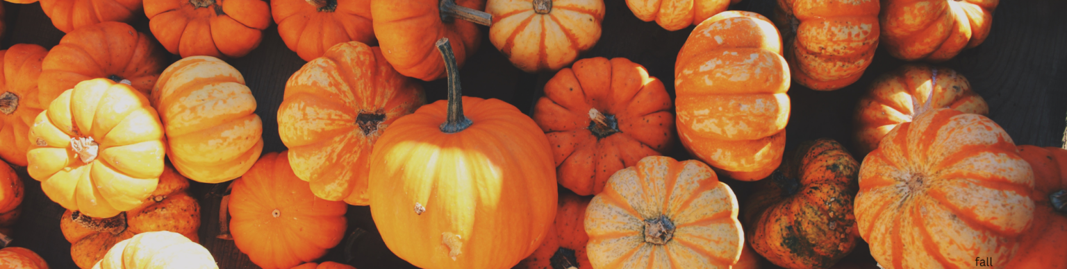 Premium Cannabis Products - Binske